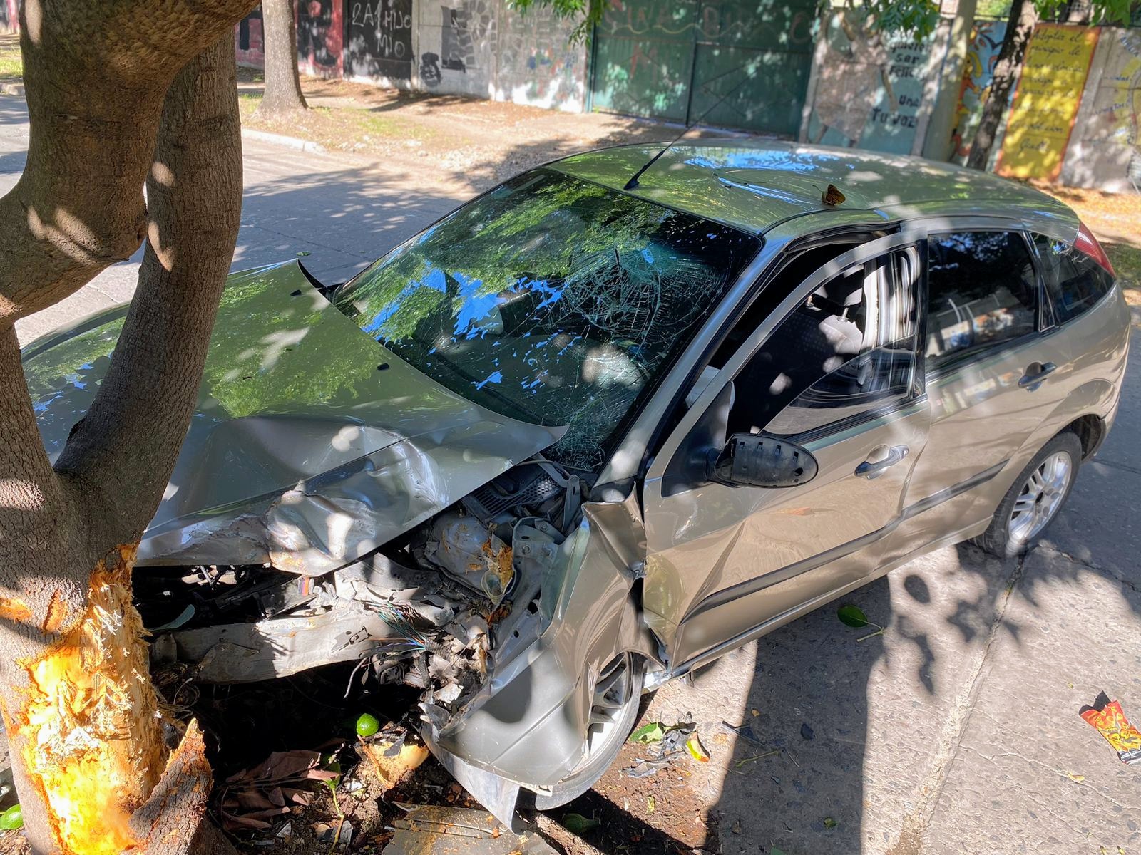 Impactante choque de un auto contra un árbol en Balcarce al 3400 - EL ...