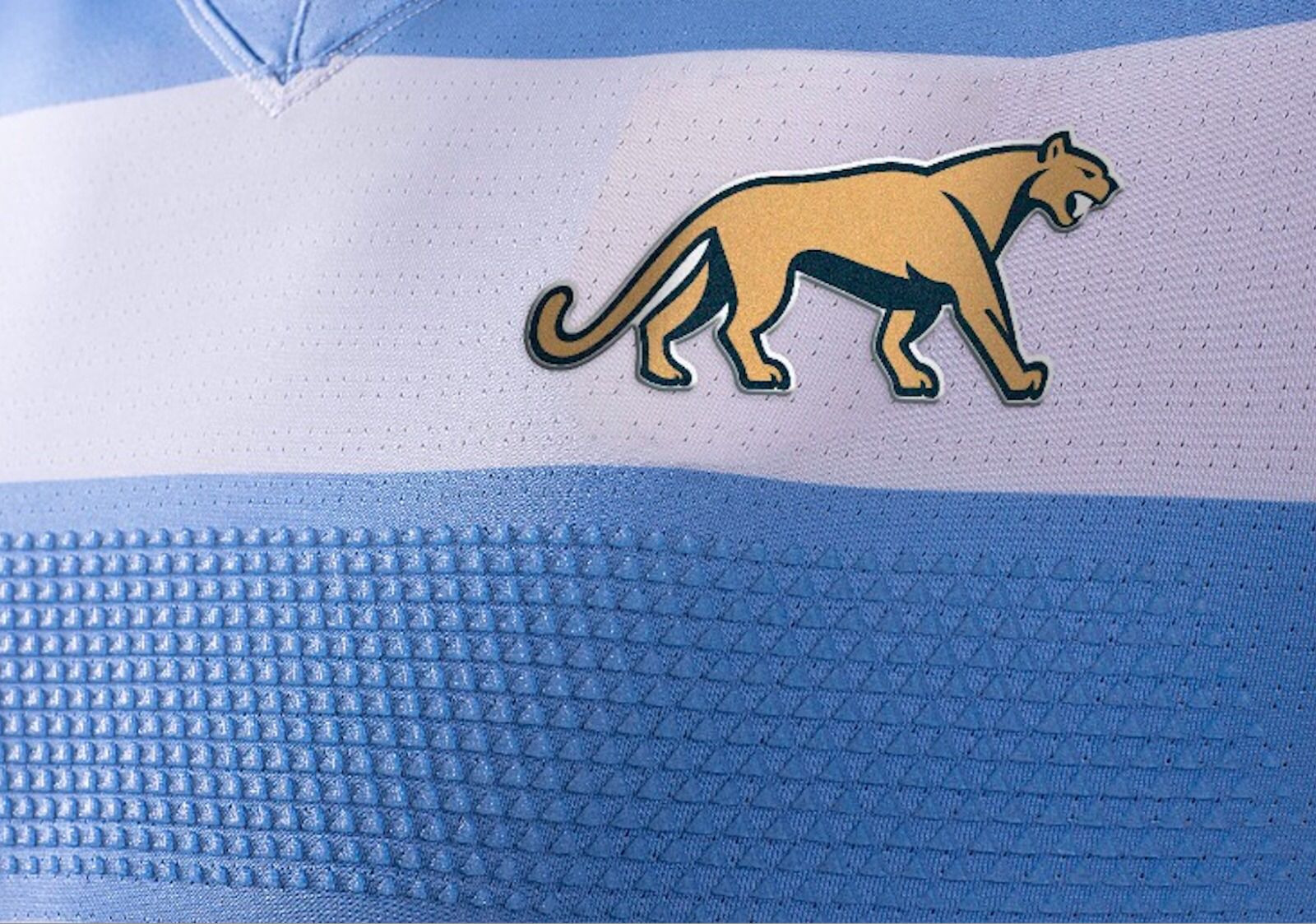 Los Pumas Logo