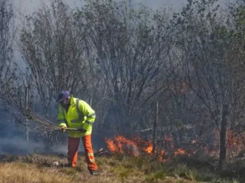 Controlaron Foco De Incendio En Las Islas Del Delta Frente A La Ciudad