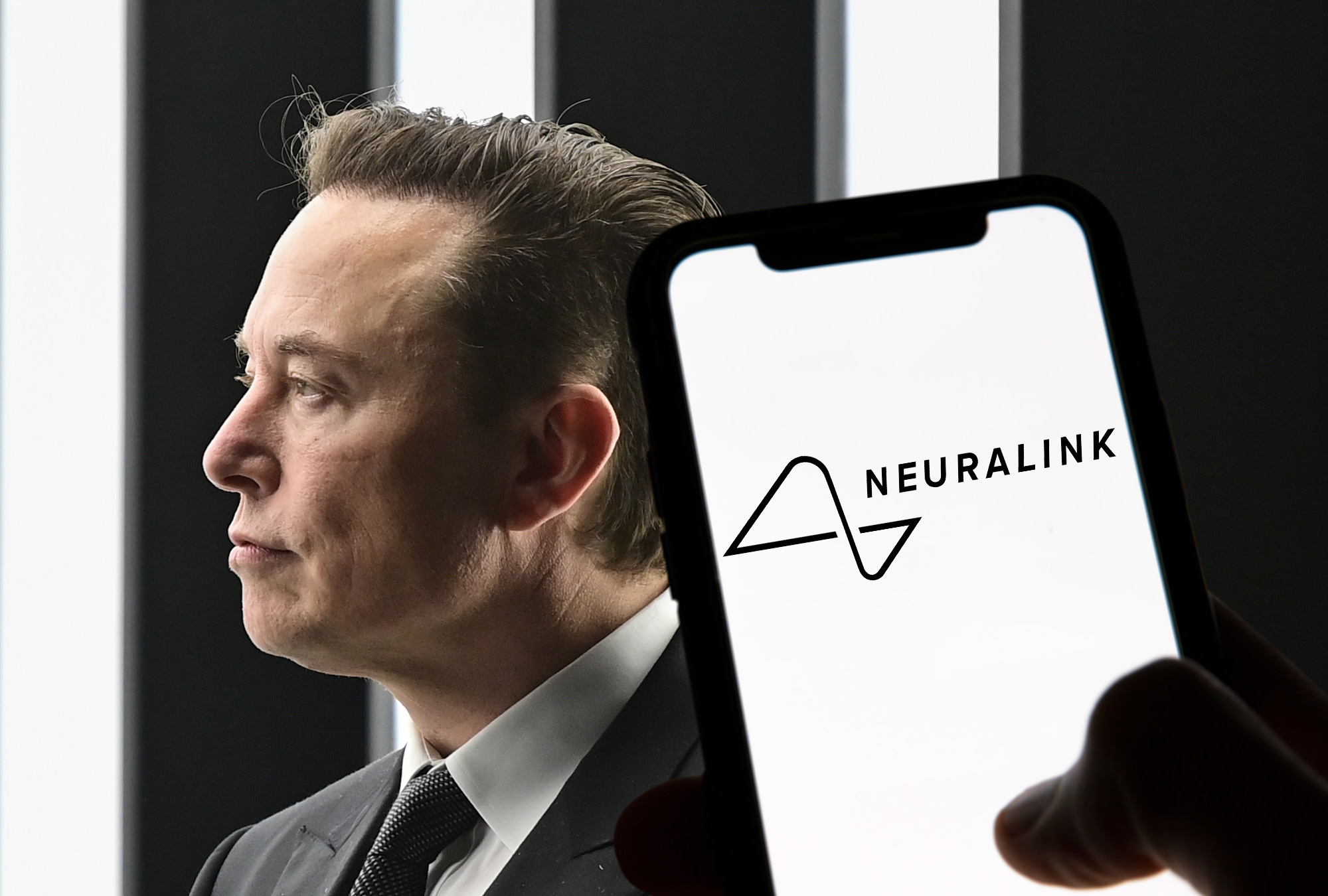 Neuralink La Empresa De Elon Musk Fue Autorizada A Ensayar Con