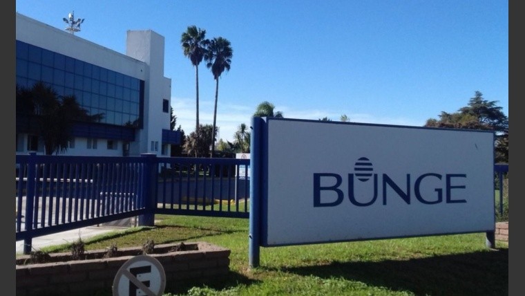 Bunge se quedó con Viterra y alcanzó una valuación de 34.000 millones ...
