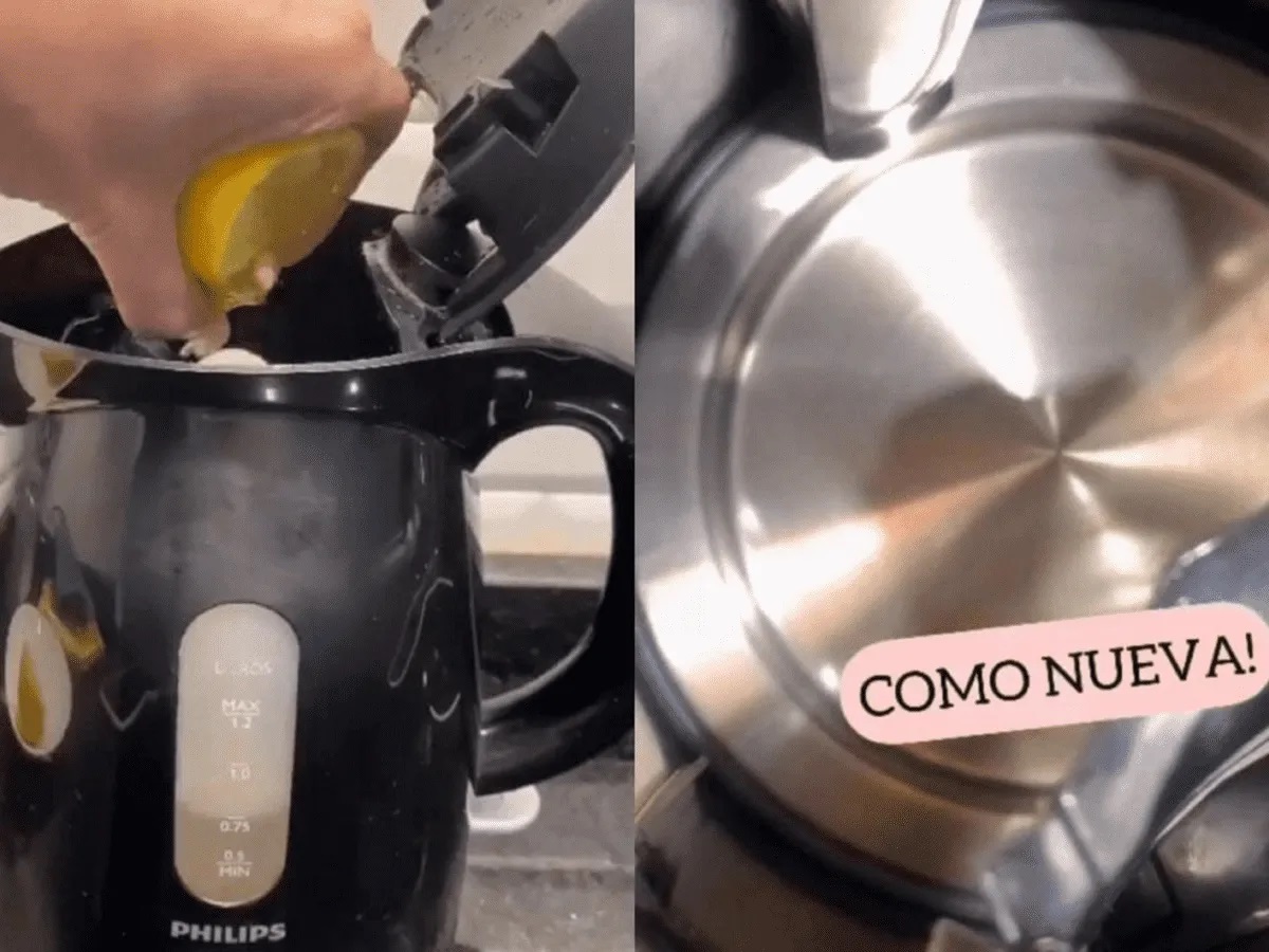 Mostró el truco definitivo para limpiar la pava eléctrica y se volvió ...