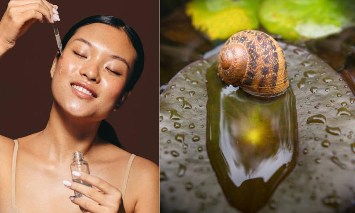 No solo deja la piel más suave: los beneficios que puede tener el uso de la baba de caracol - EL ...