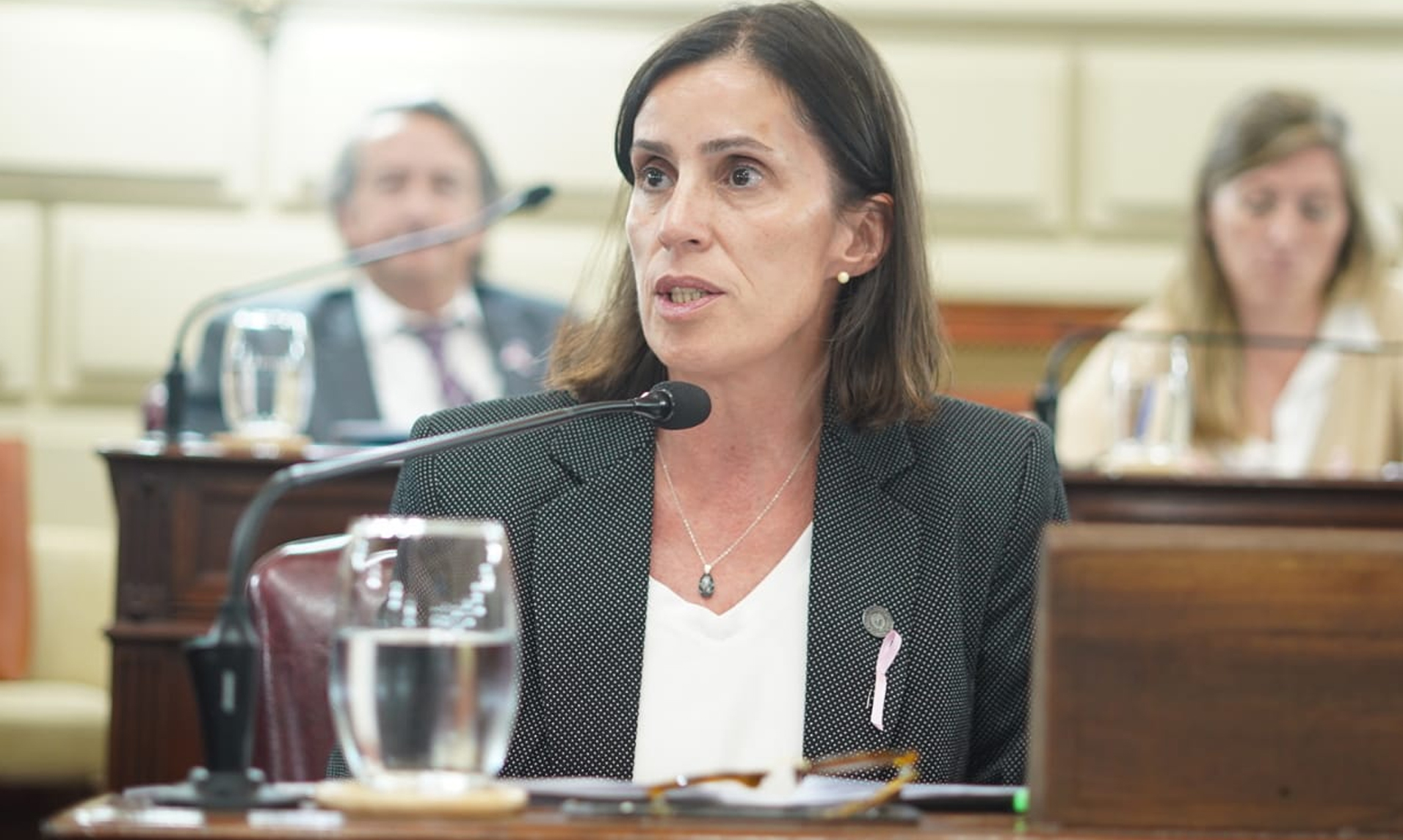 La diputada Ximena Sola salió a bancar a su hermana rosarina ...