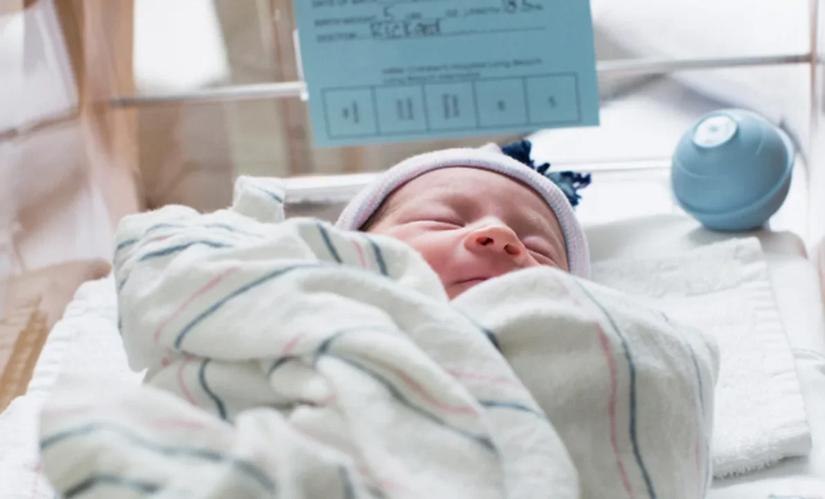 Cuál es la tasa de natalidad de la Argentina y por qué está entre las ...