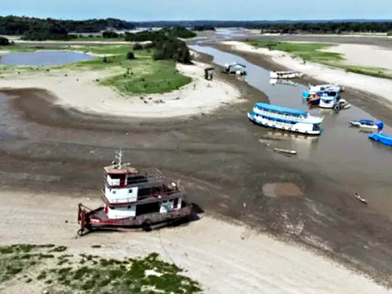 El río Amazonas se está secando: advierten sobre el cambio climático ...